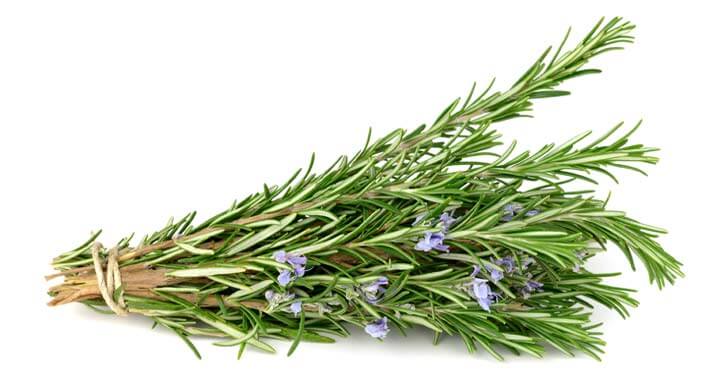 Ennyi mindenre jó a rozmaring tea - Tapo